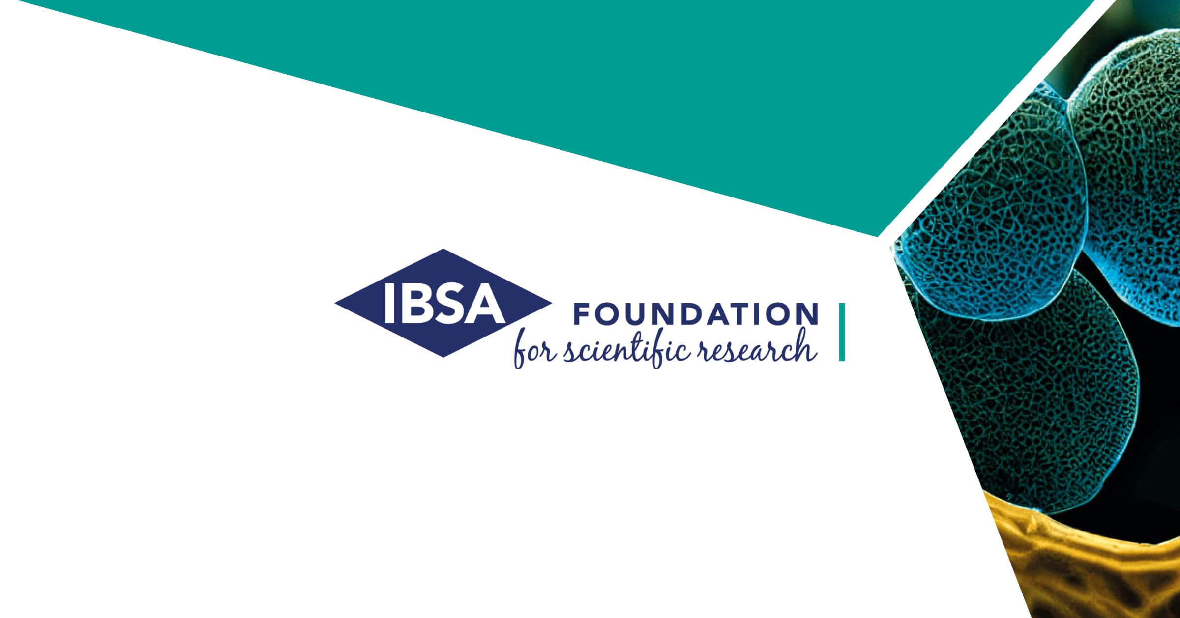 Ibsa Logo